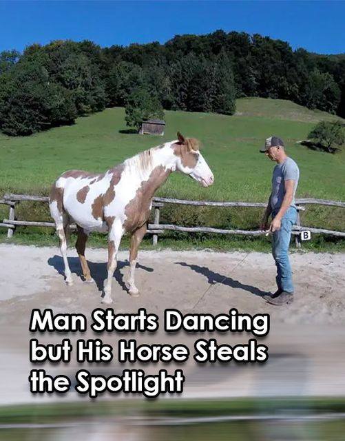 Man Begins Dancing, but His Horse Takes Center Stage - Vibrant Social ...