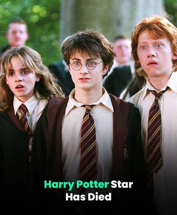 ‘Harry Potter’ actor dies - Vibrant Social Chronicles